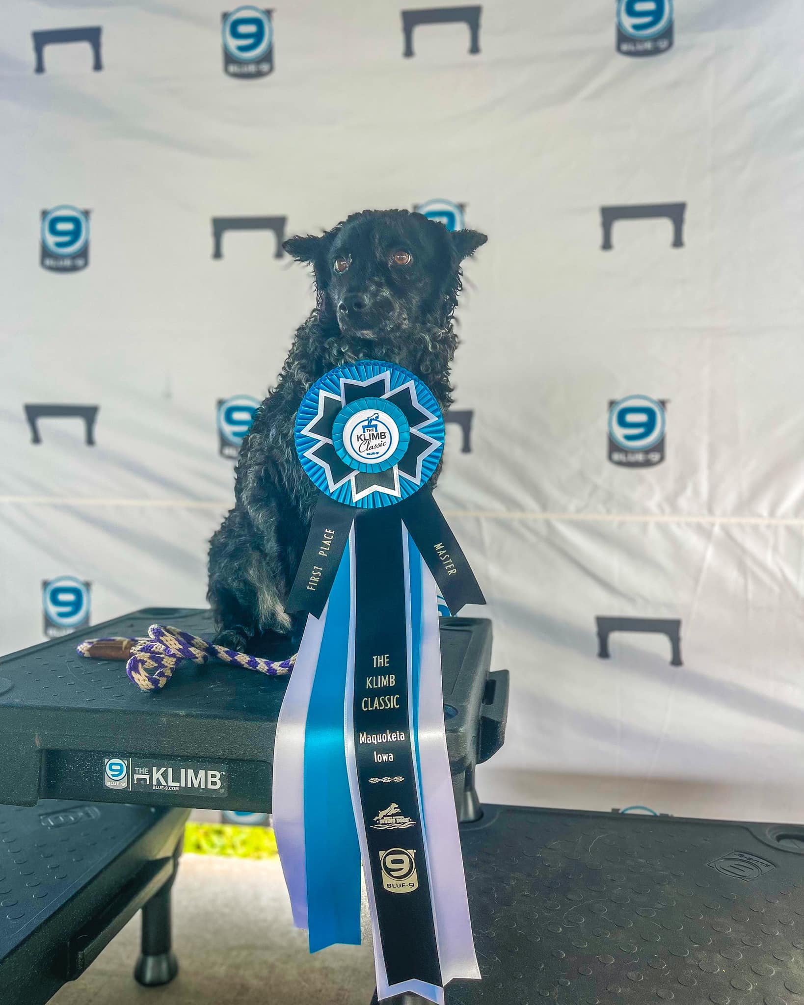 Klimb Classic – Thanagar Mudi