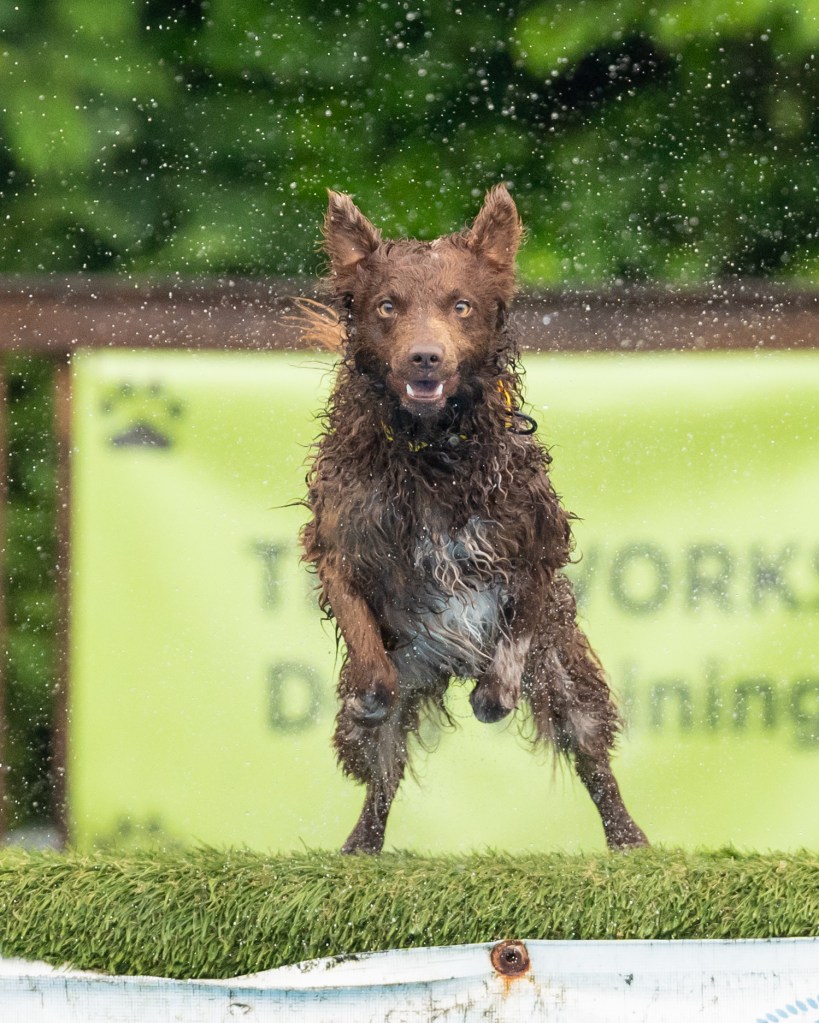 Thanagar Wodan Game Freak “Nightjar” – Thanagar Mudi